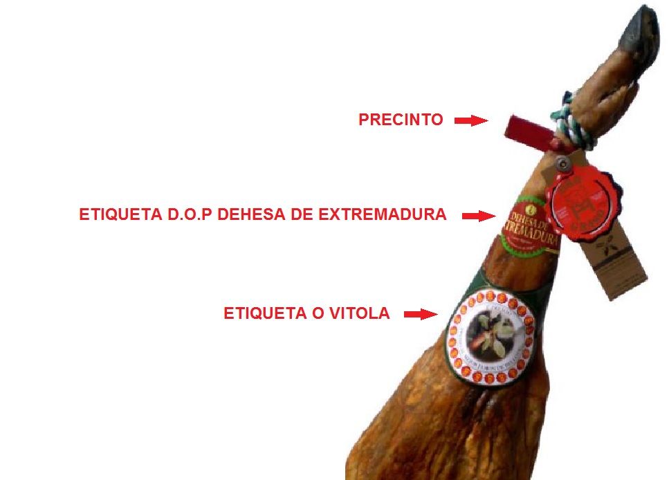 ELEMENTOS DE IDENTIFICACIÓN DEL JAMÓN Y LA PALETA - Jamones y Embutidos ...